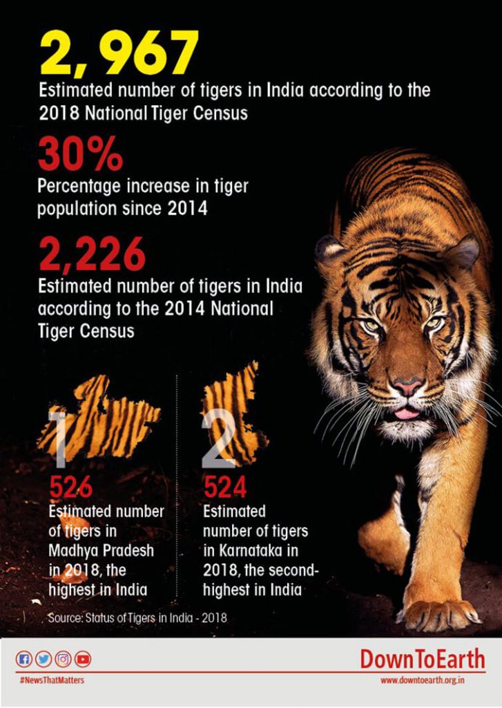 Tiger Count in India Reaches 2,967: Madhya Pradesh Roars the Loudest ...